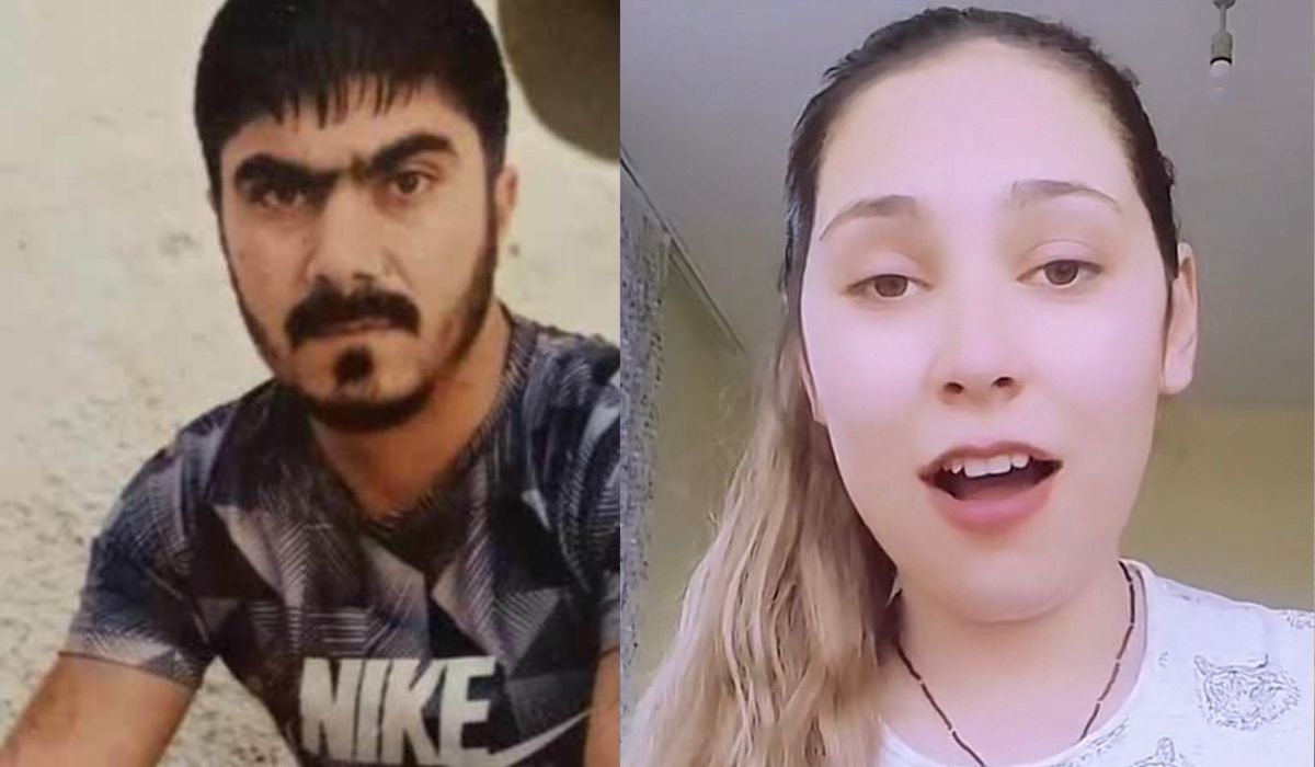 Sokak hayvanı için 'köpek-çakal' tartışmasında DNA talebi