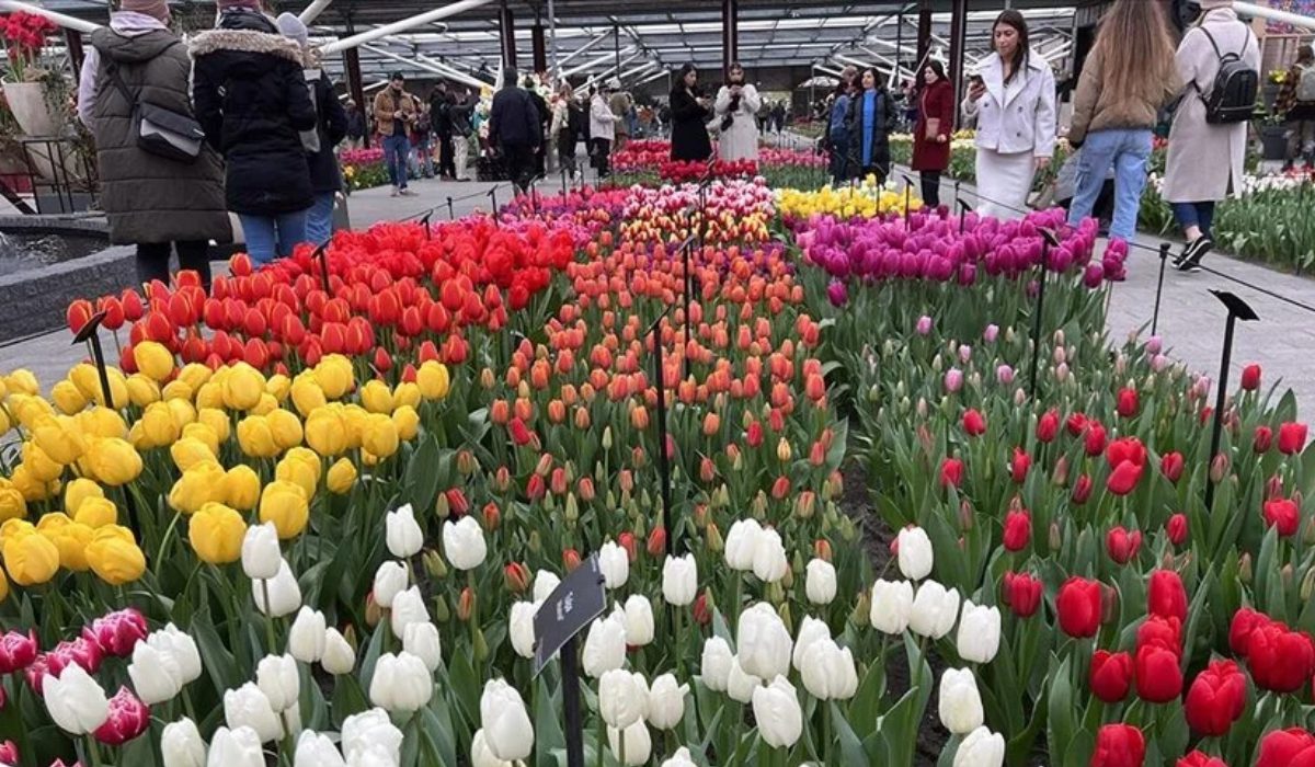 VakıfBank Kupa Voley'de yarı finalde! - Son Dakika Spor Haberleri ...